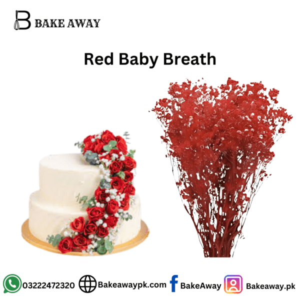 Red Baby Breath – Bake Away